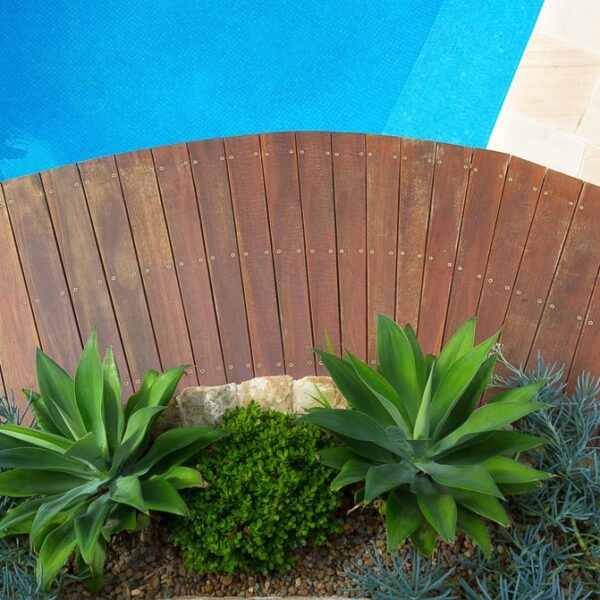 Lower North Shore Pool Design | Modern Curved Pool Design - Castlecrag ...
