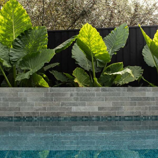 Wet Edge Swimming Pool | Infinity Edge Pool Design | Avalon, Northern ...