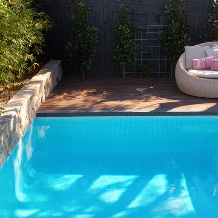 Lower North Shore Pool Design with Stone Feature Wall | Northbridge ...
