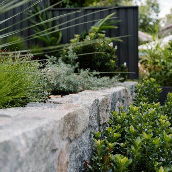 Landscape Design Northern Beaches | Front Yard Design | Sydney